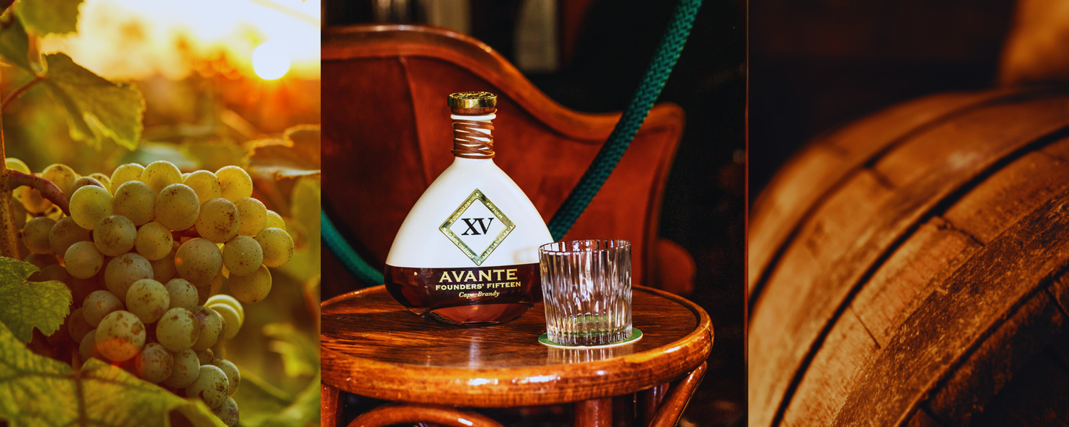 Avante Brandy